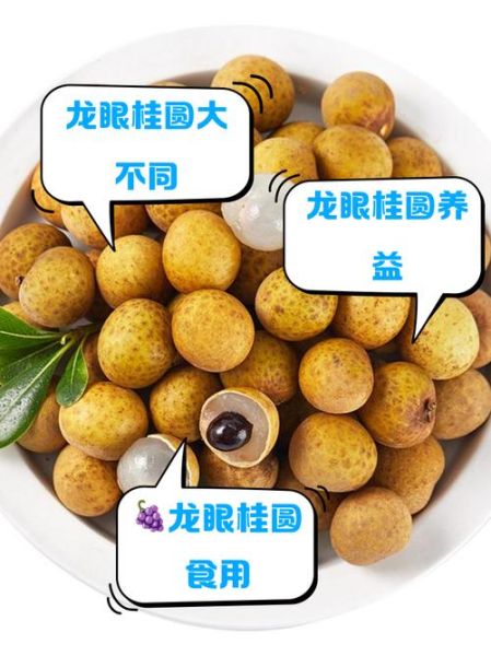 龙眼和桂圆的区别_龙眼桂圆的功效与作用-第1张图片-山城妙识 龙眼和桂圆的区别_龙眼桂圆的功效与作用-第1张图片-山城妙识