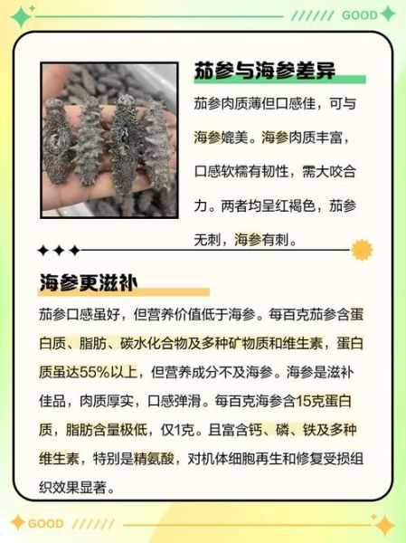 海参和海茄子的区别图_哪个营养价值更高-第2张图片-山城妙识 海参和海茄子的区别图_哪个营养价值更高-第2张图片-山城妙识