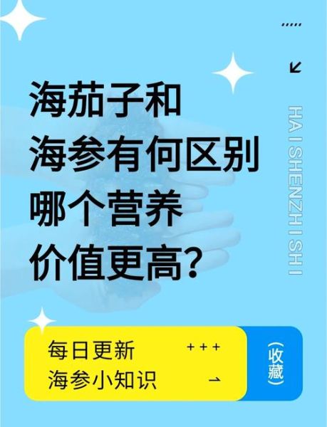 海参和海茄子的区别图_哪个营养价值更高-第1张图片-山城妙识 海参和海茄子的区别图_哪个营养价值更高-第1张图片-山城妙识