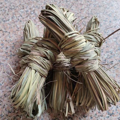 柠檬香茅草怎么种_柠檬香茅草的功效与作用-第3张图片-山城妙识 柠檬香茅草怎么种_柠檬香茅草的功效与作用-第3张图片-山城妙识