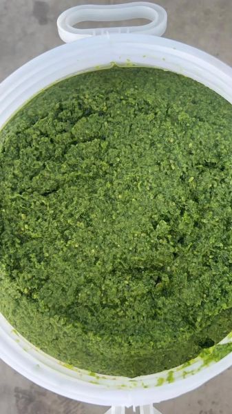 韭菜花酱的危害_长期吃会致癌吗-第1张图片-山城妙识 韭菜花酱的危害_长期吃会致癌吗-第1张图片-山城妙识