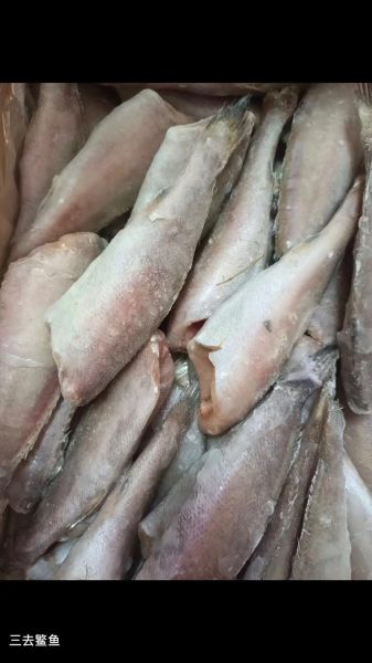 鳘鱼多少钱一斤_鳘鱼价格行情-第2张图片-山城妙识 鳘鱼多少钱一斤_鳘鱼价格行情-第2张图片-山城妙识