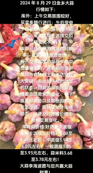 金乡大蒜今日收购价格_金乡大蒜价格走势-第2张图片-山城妙识 金乡大蒜今日收购价格_金乡大蒜价格走势-第2张图片-山城妙识