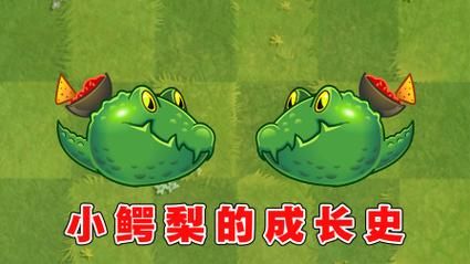 鳄梨小哥是谁_鳄梨小哥为什么这么火-第2张图片-山城妙识