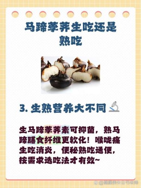 马蹄荸荠怎么吃_马蹄荸荠可以生吃吗-第2张图片-山城妙识