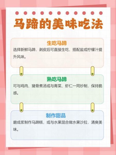 马蹄荸荠怎么吃_马蹄荸荠可以生吃吗-第1张图片-山城妙识