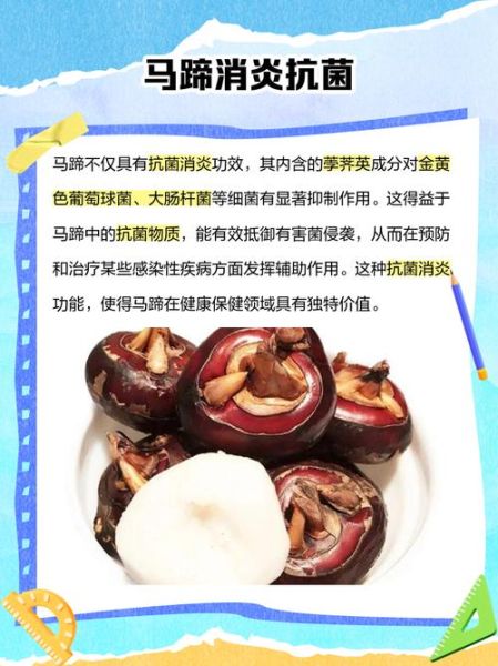 马蹄荸荠怎么吃_马蹄荸荠可以生吃吗-第3张图片-山城妙识