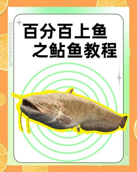 鸡肝钓鲶鱼技巧_鸡肝钓鲶鱼怎么挂钩-第2张图片-山城妙识