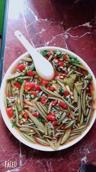 莼菜图片长什么样_莼菜图片怎么辨别真假-第3张图片-山城妙识