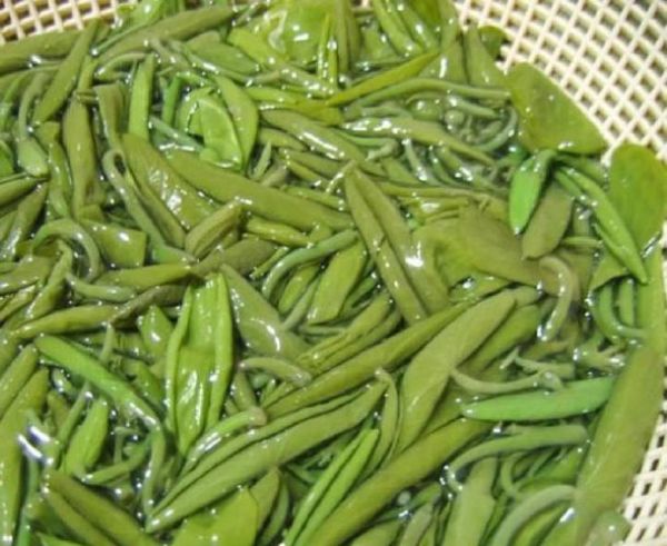 莼菜图片长什么样_莼菜图片怎么辨别真假-第2张图片-山城妙识