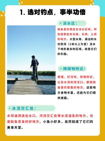 鸡肝钓鲶鱼技巧_鸡肝钓鲶鱼怎么挂钩-第3张图片-山城妙识