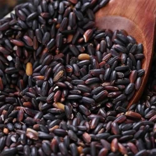 黑糯米的功效与作用及营养价值_黑糯米补血效果好吗-第1张图片-山城妙识 黑糯米的功效与作用及营养价值_黑糯米补血效果好吗-第1张图片-山城妙识