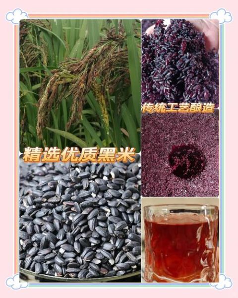 黑糯米的功效与作用及营养价值_黑糯米补血效果好吗-第3张图片-山城妙识 黑糯米的功效与作用及营养价值_黑糯米补血效果好吗-第3张图片-山城妙识