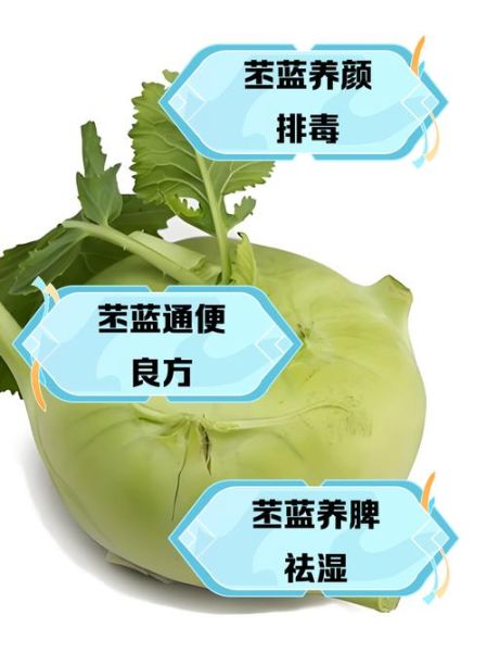 苤蓝的营养价值_苤蓝怎么吃最营养-第2张图片-山城妙识