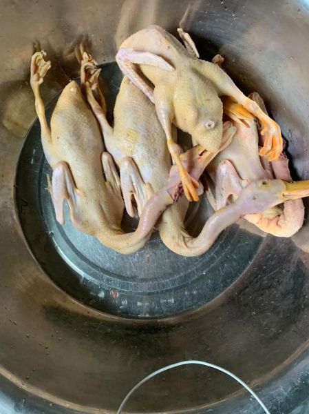 老鸭汤怎么做_老鸭汤放什么料最正宗-第3张图片-山城妙识 老鸭汤怎么做_老鸭汤放什么料最正宗-第3张图片-山城妙识