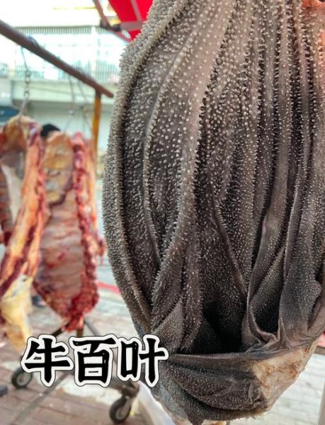 牛百叶和毛肚的区别_哪个部位更嫩-第2张图片-山城妙识 牛百叶和毛肚的区别_哪个部位更嫩-第2张图片-山城妙识