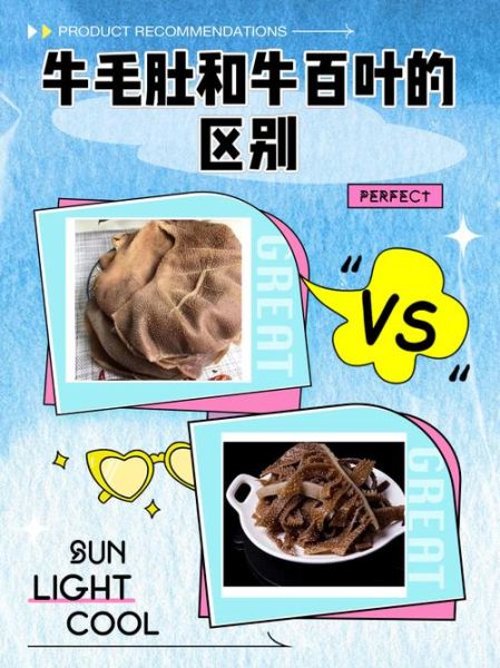 牛百叶和毛肚的区别_哪个部位更嫩-第1张图片-山城妙识 牛百叶和毛肚的区别_哪个部位更嫩-第1张图片-山城妙识