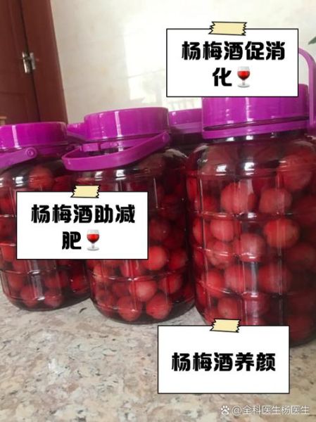 杨梅泡酒的功效与作用_杨梅泡酒的做法与禁忌-第1张图片-山城妙识 杨梅泡酒的功效与作用_杨梅泡酒的做法与禁忌-第1张图片-山城妙识