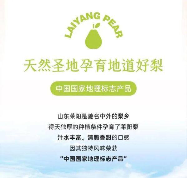 莱阳梨汁的功效与作用_莱阳梨汁怎么喝最润肺-第3张图片-山城妙识 莱阳梨汁的功效与作用_莱阳梨汁怎么喝最润肺-第3张图片-山城妙识