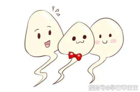 精子进入后多久怀孕_受孕全过程时间线-第2张图片-山城妙识 精子进入后多久怀孕_受孕全过程时间线-第2张图片-山城妙识