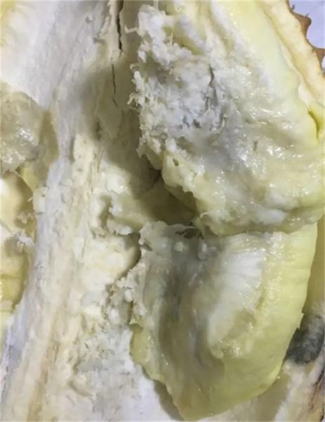 榴莲肉太软了一按就烂_还能吃吗-第2张图片-山城妙识 榴莲肉太软了一按就烂_还能吃吗-第2张图片-山城妙识