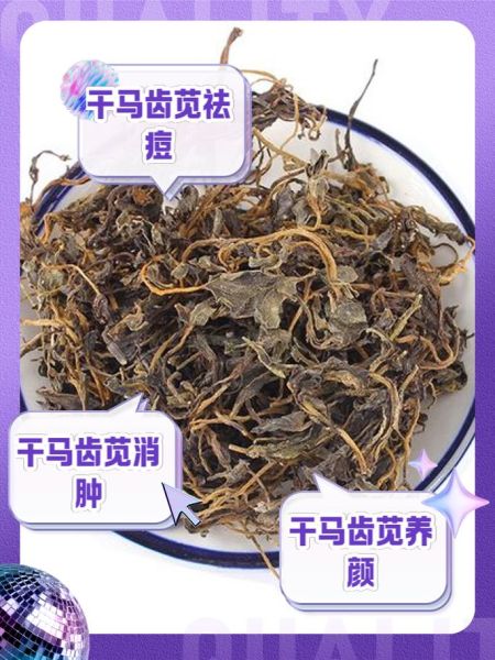 马齿菜晒干能泡水喝吗_马齿菜干泡水功效-第1张图片-山城妙识