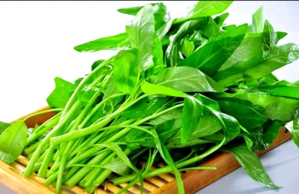 通菜吃多了会抽筋吗_空心菜抽筋真相-第2张图片-山城妙识 通菜吃多了会抽筋吗_空心菜抽筋真相-第2张图片-山城妙识