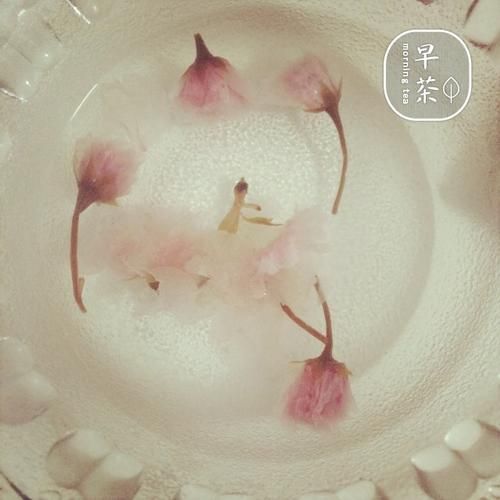 樱花布丁怎么做_樱花布丁需要哪些材料-第1张图片-山城妙识 樱花布丁怎么做_樱花布丁需要哪些材料-第1张图片-山城妙识