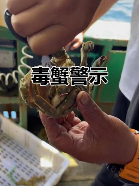 雷公蟹图片_雷公蟹长什么样-第1张图片-山城妙识 雷公蟹图片_雷公蟹长什么样-第1张图片-山城妙识