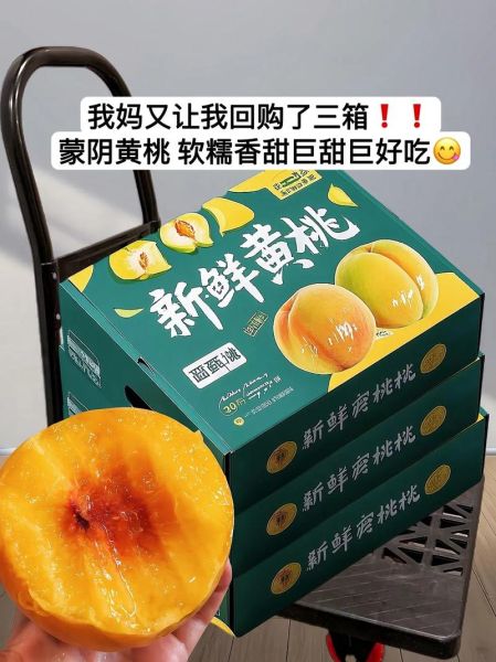 黄桃多少钱一斤_黄桃价格为什么差距大-第3张图片-山城妙识 黄桃多少钱一斤_黄桃价格为什么差距大-第3张图片-山城妙识