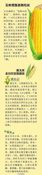 玉米的营养价值_玉米的功效与作用有哪些-第2张图片-山城妙识