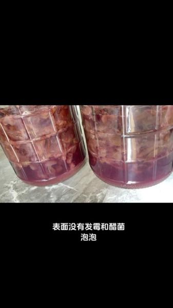 自制葡萄酒发酵多少天_如何判断发酵完成-第3张图片-山城妙识