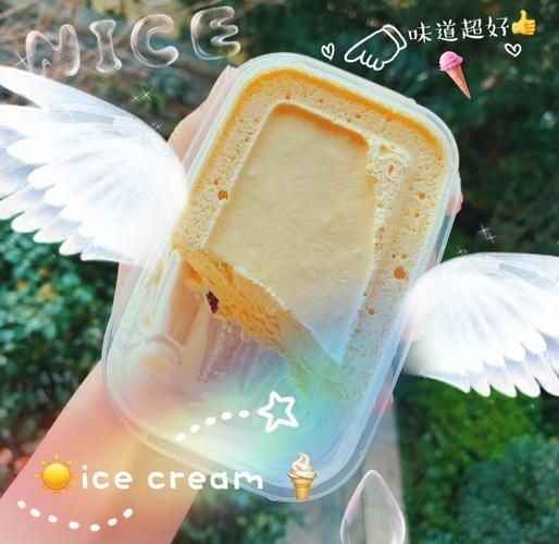 不用淡奶油怎么做冰淇淋_无淡奶油冰淇淋配方-第2张图片-山城妙识