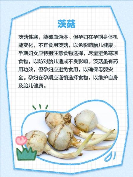 孕妇不能吃哪些菇_孕妇吃菇类禁忌-第1张图片-山城妙识 孕妇不能吃哪些菇_孕妇吃菇类禁忌-第1张图片-山城妙识