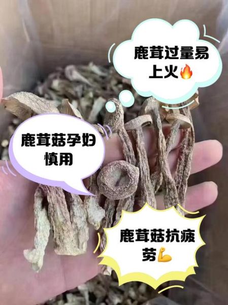 孕妇不能吃哪些菇_孕妇吃菇类禁忌-第3张图片-山城妙识 孕妇不能吃哪些菇_孕妇吃菇类禁忌-第3张图片-山城妙识