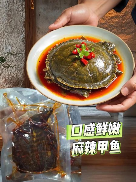 麻辣甲鱼怎么做_家常做法步骤详解-第2张图片-山城妙识 麻辣甲鱼怎么做_家常做法步骤详解-第2张图片-山城妙识