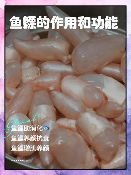 鱼鳔的作用是什么_鱼鳔对鱼的重要性-第1张图片-山城妙识 鱼鳔的作用是什么_鱼鳔对鱼的重要性-第1张图片-山城妙识