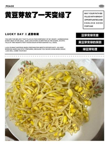 黄豆芽变绿了还能吃吗_黄豆芽变绿是否有毒-第2张图片-山城妙识 黄豆芽变绿了还能吃吗_黄豆芽变绿是否有毒-第2张图片-山城妙识