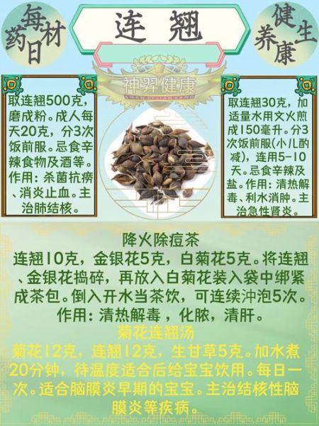 连翘的功效与作用_连翘主治哪些病-第1张图片-山城妙识