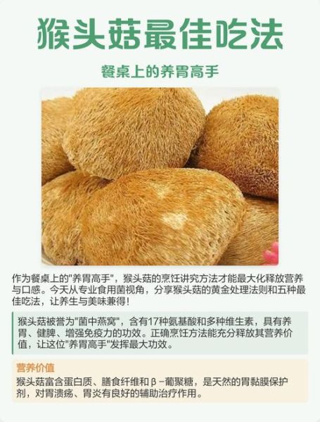 猴头菇怎么吃不苦_猴头菇去苦味方法-第1张图片-山城妙识 猴头菇怎么吃不苦_猴头菇去苦味方法-第1张图片-山城妙识