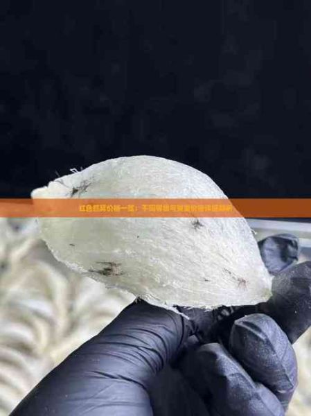 血燕窝多少钱一克_血燕窝价格影响因素-第2张图片-山城妙识