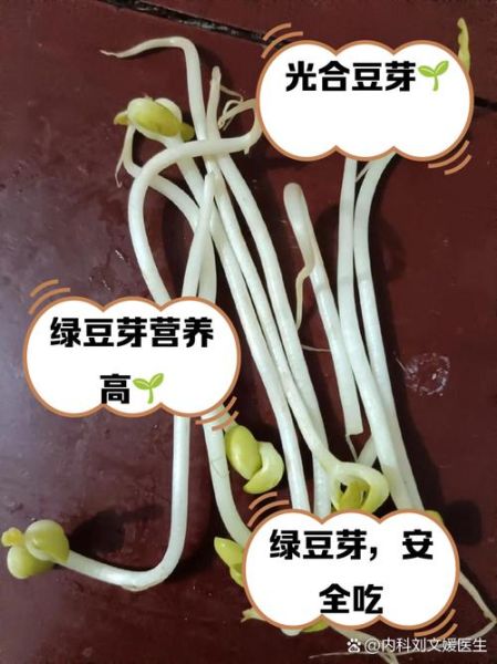 黄豆芽变绿了还能吃吗_黄豆芽变绿是否有毒-第3张图片-山城妙识 黄豆芽变绿了还能吃吗_黄豆芽变绿是否有毒-第3张图片-山城妙识