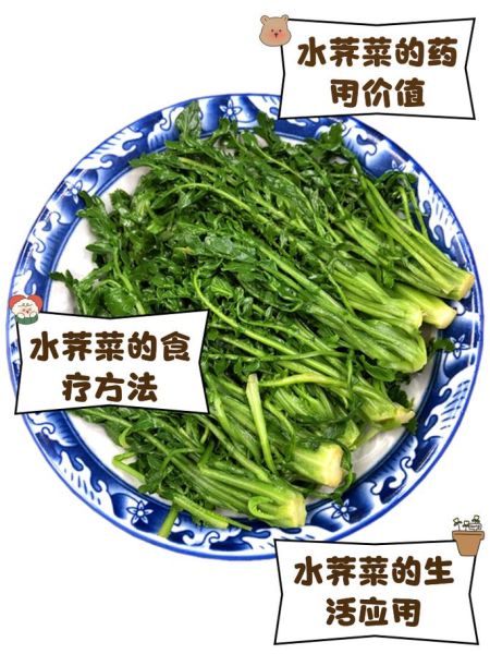 水荠菜图片怎么识别_水荠菜和荠菜区别-第2张图片-山城妙识