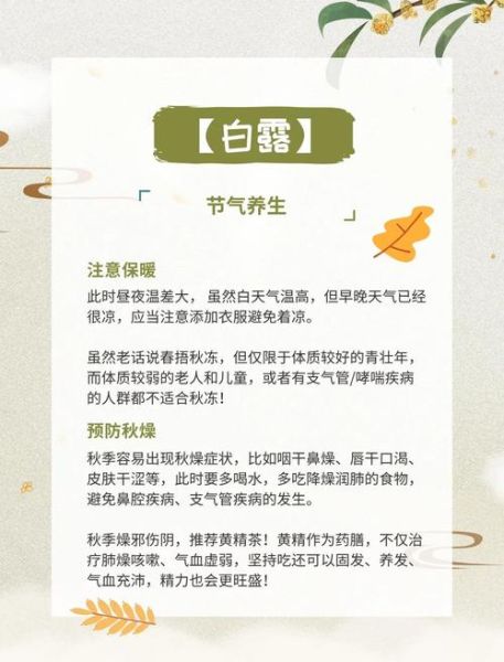 白露是什么意思_白露节气有哪些习俗-第1张图片-山城妙识