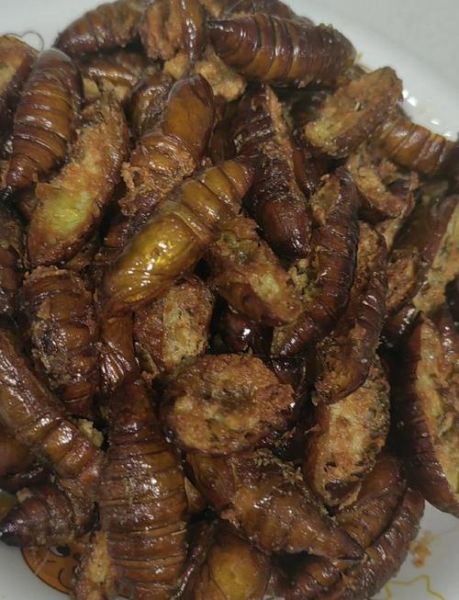 蚕蛹怎么煮才好吃_蚕蛹煮多久口感最佳-第3张图片-山城妙识 蚕蛹怎么煮才好吃_蚕蛹煮多久口感最佳-第3张图片-山城妙识