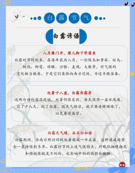 白露是什么意思_白露节气有哪些习俗-第2张图片-山城妙识