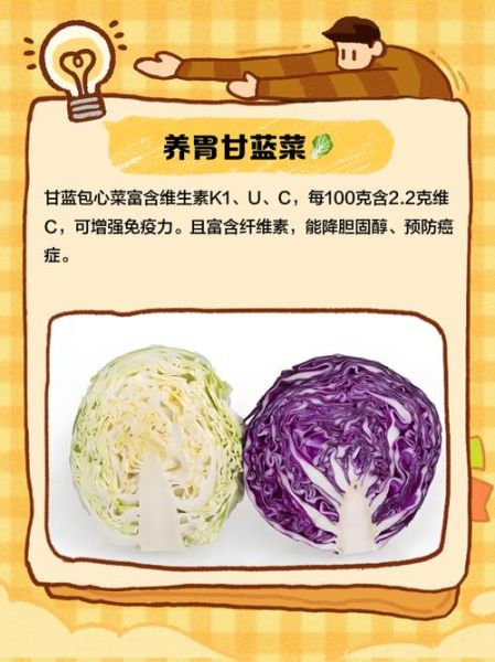 青甘蓝菜的功效与作用_青甘蓝菜怎么吃最营养-第3张图片-山城妙识 青甘蓝菜的功效与作用_青甘蓝菜怎么吃最营养-第3张图片-山城妙识