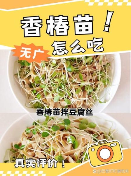 香椿苗怎么凉拌_香椿苗凉拌做法大全-第2张图片-山城妙识 香椿苗怎么凉拌_香椿苗凉拌做法大全-第2张图片-山城妙识