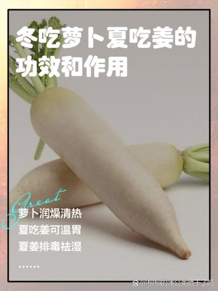 东北大红萝卜的功效与作用_怎么吃最养生-第2张图片-山城妙识 东北大红萝卜的功效与作用_怎么吃最养生-第2张图片-山城妙识