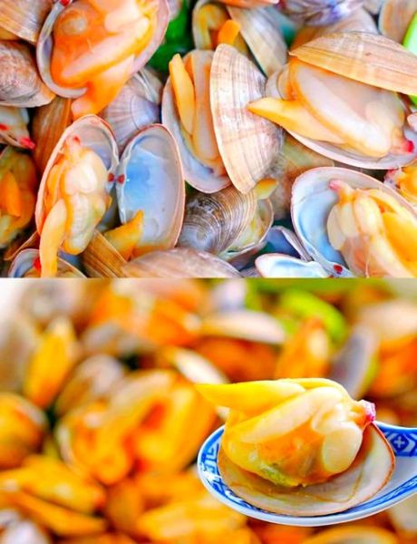 黄蚬子怎么吐沙子最快_黄蚬子吐沙子最快的方法-第3张图片-山城妙识